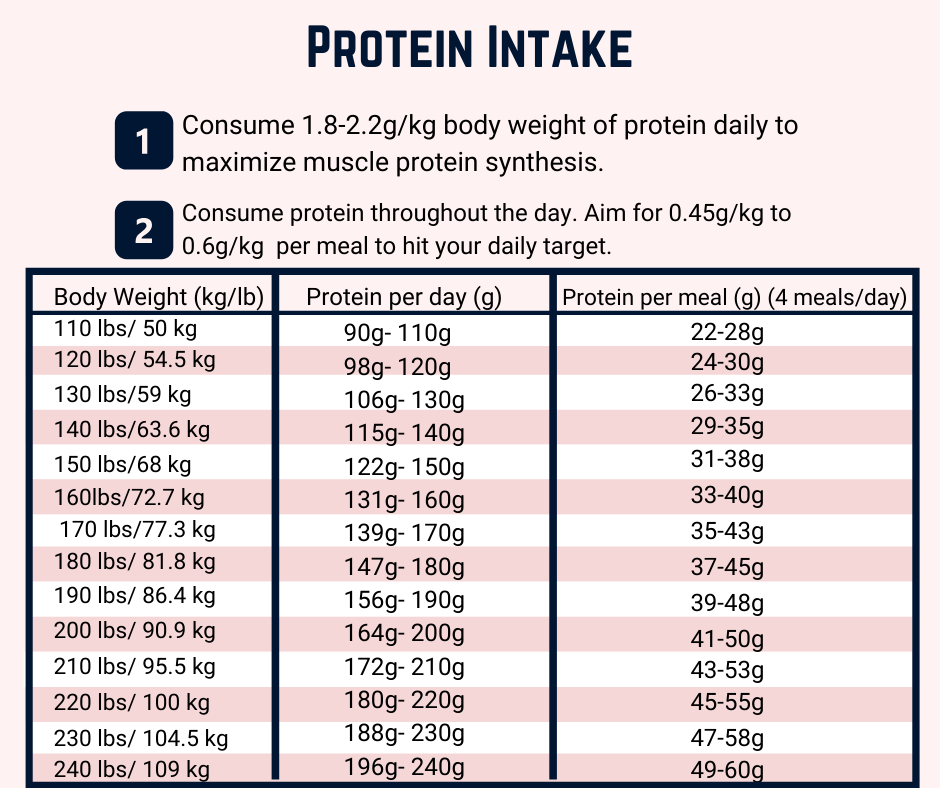 Protein Intake for Effective Muscle Building - pideoo